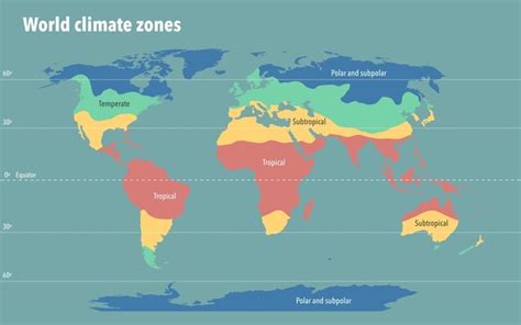 932 Climate Zones Of The Earth Untuk Gambar Stok Dan Foto Tanpa Royalti