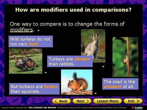 Understanding Comparison Of Modifiers How Are Modifiers Used