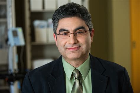 Quotes Photos — Mccrf