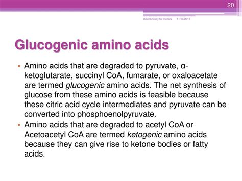 Gluconeogenesis Steps Regulation And Significance Ppt Download