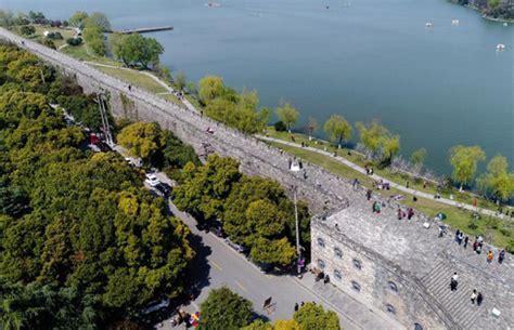 Sex Video Official To Be Prosecuted China Chinadaily Com Cn