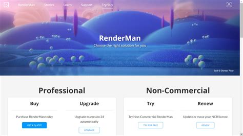 Renderman No Valid Licence When Rendering In Blender Blender Stack Exchange