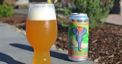 The Not So Professional Beer Blog Recent Ipa Releases From Mcmenamins