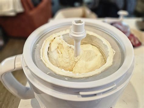 Simple Vanilla Bean Frozen Yogurt Honey Sweetened Recipe