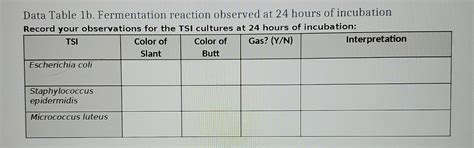 solved data table 1b ﻿fermentation reaction observed at 24