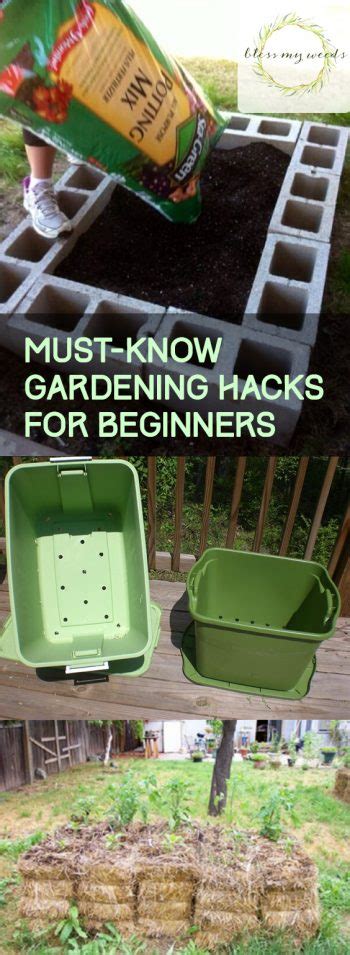 Must Know Gardening Hacks For Beginners Bless My Weeds
