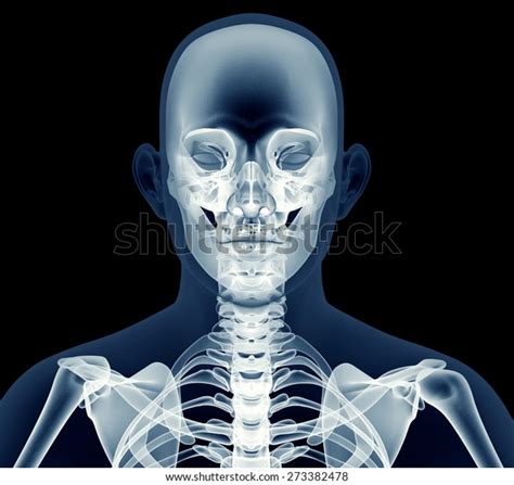Xray Human Body Man Skeleton Isolated Stock Illustration 273382478