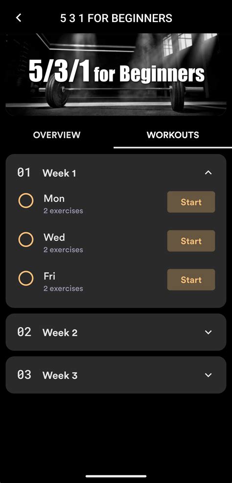 5 3 1 For Beginners App And Program Guide