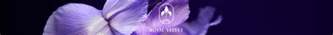 Royal Velvet | Oriflame Cosmetics
