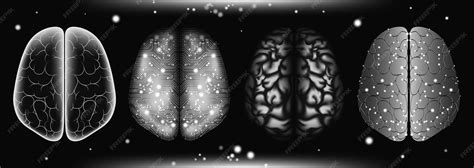 Premium Vector Human Brain Analysis Big Data Visualization