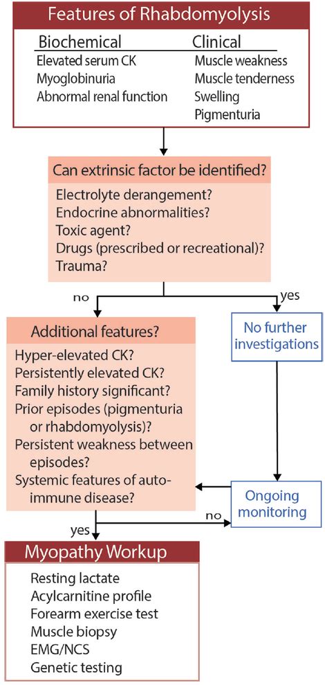 Neuromuscular Notes Rhabdomyolysis