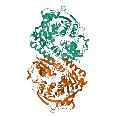 Methanocococcus Jannaschii