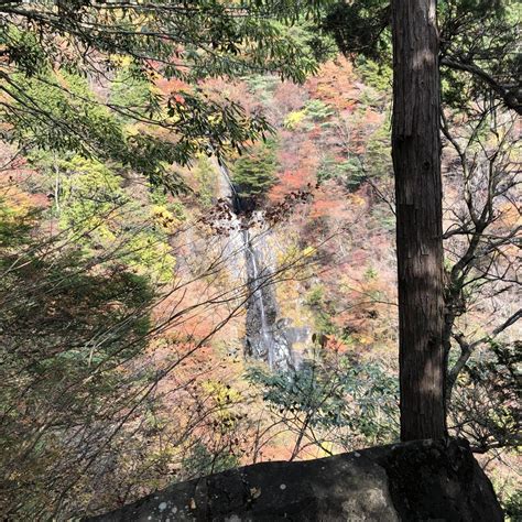 毛無山（三角点）・毛無山（最高点）・大見岳 チャコピーさんの毛無山・雨ヶ岳・竜ヶ岳の活動データ Yamap ヤマップ