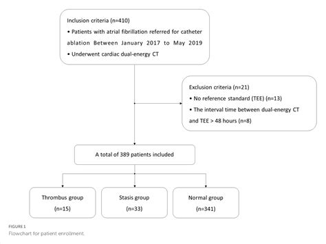 Figure 1 From Detection Of Left Atrial Appendage Thrombus By Dual Energy Computed Tomography