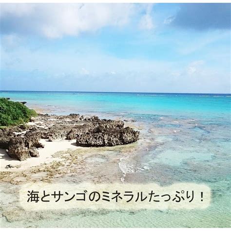 有機jas・雲南百薬 おかわかめ 2kg Un2kg琉球マルシェ 通販 Yahooショッピング