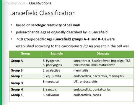 Streptococcus
