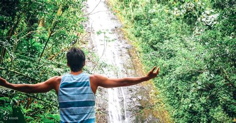 Manoa Falls Hiking Tour In Oahu Klook United States