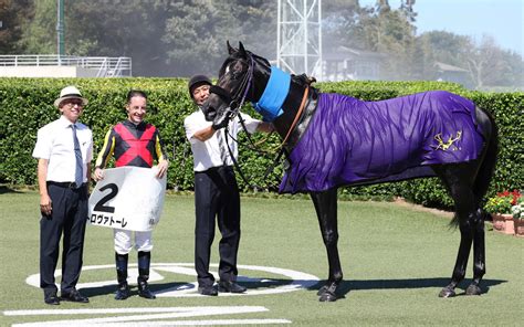 トロヴァトーレが直線突き抜け初陣v ルメール騎手「体はレイデオロに似てる」／新馬戦 2歳馬特集 競馬写真ニュース 日刊スポーツ
