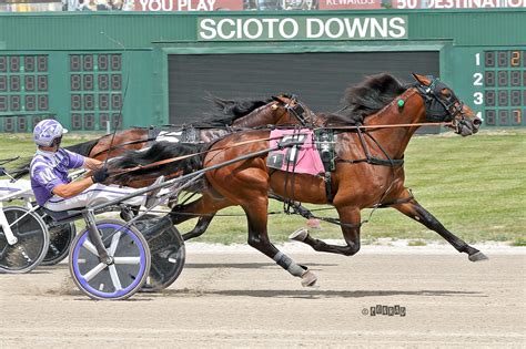 Ny Femetta För Engblom Sulkysport