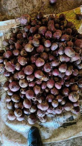 A Grade Pan India Beetroot Packaging Type Net Bag Packaging Size 50