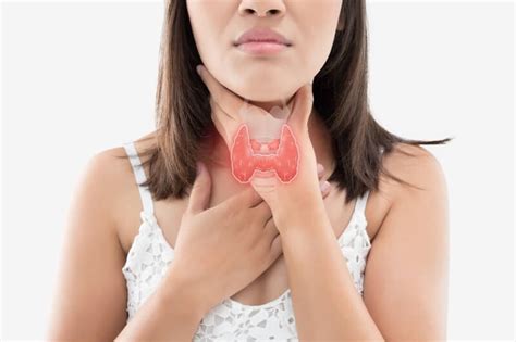 How Thyroid Function Affects Your Menstrual Cycle Gyn Womens Centre