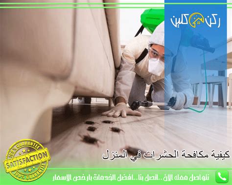 كيفية مكافحة الحشرات في المنزل شركة ركن كلين