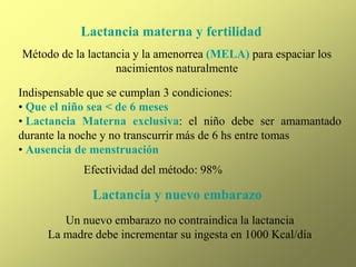Lactancia Materna Ppt