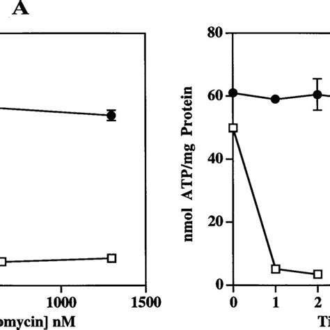 Oligomycin Effect On Cell Viability And Intracellular Atp Level Of Download Scientific Diagram
