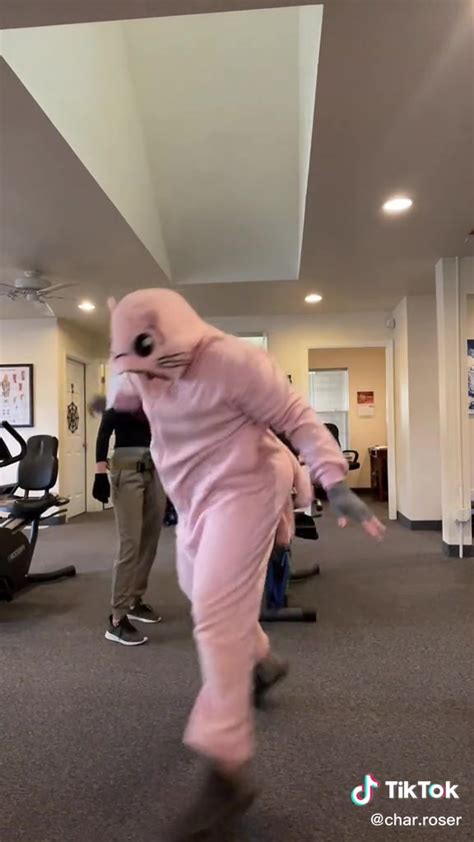 Kim Possible Rufus Kostuum New To Pilates 4me Pilates