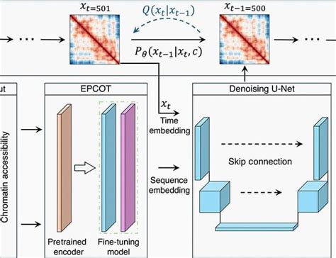Chromogen Diffusion Model Predicts Single Cell Chromatin Conformations Lifeboat News The Blog