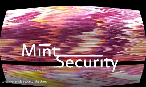 Mint Security Veracode Security Labs Demo Blogit