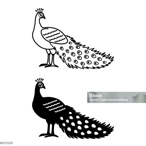 공작 아이콘 흑인과 백인 벡터 일러스트 레이 션 큰 새 길고 아름다운 꼬리를 가진 공작새 색칠 공부 책 디자인용 가축 개념 공작 깃털에 대한 스톡 벡터 아트 및 기타 이미지