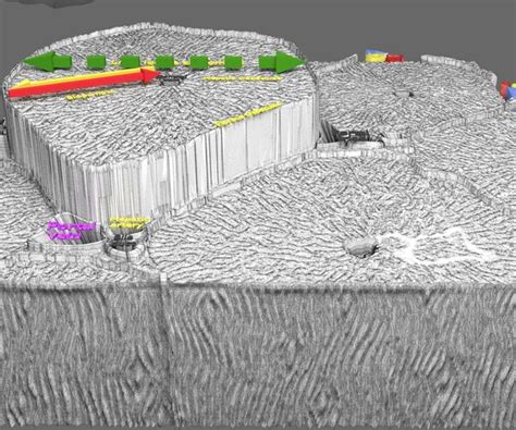 Artstation Liver Lobule Histology Animated 3d Model Blend Resources