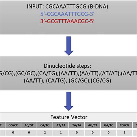 Schematic Illustration Of Feature Extraction Download Scientific Diagram