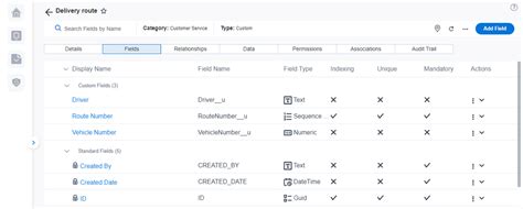 example create a custom entity in data entities