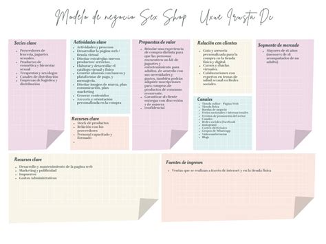 Sex Shop Modelo Canvas Pdf Las Compras En Línea Marketing