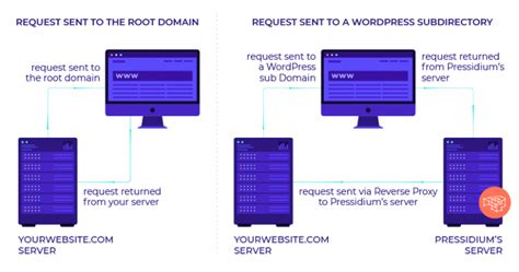 Wordpress Reverse Proxy How Universities And Corporations Are
