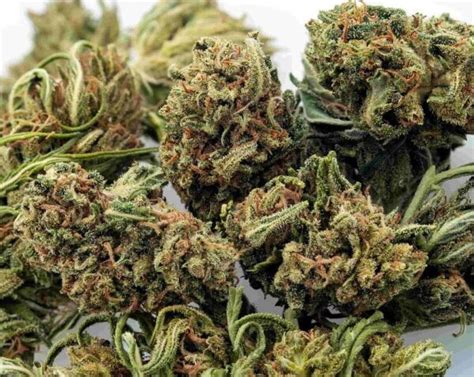 The 8 Top Best Legal Cbd Hemp Flower Strains Industrial Hemp Farms
