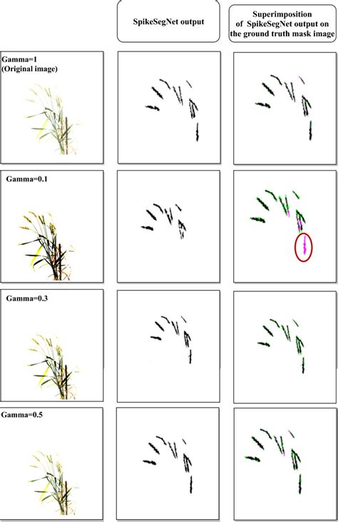 Spikesegnet A Deep Learning Approach Utilizing Encoder Decoder Network