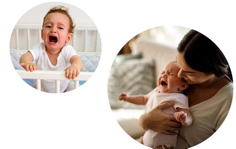 Purple Crying Nuevo Amanecer