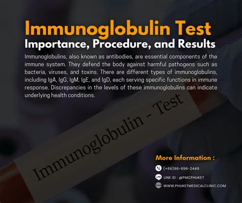 Immunoglobulin Test Importance Procedure And Results Phuket