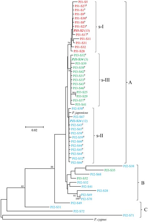 Neighbor Joining Phylogenetic Nj Tree Showing Relationships Among 52