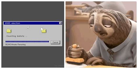 Meme Counting Waikanae Watch