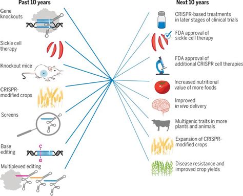 Genscript On Linkedin Crispr Biotechnology Biology Geneediting