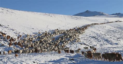 Ховд 2025 оны 02 р сарын 20 ны 08 цагаас 20 цаг хүртэлх цаг агаарын урьдчилсан мэдээ Ховд