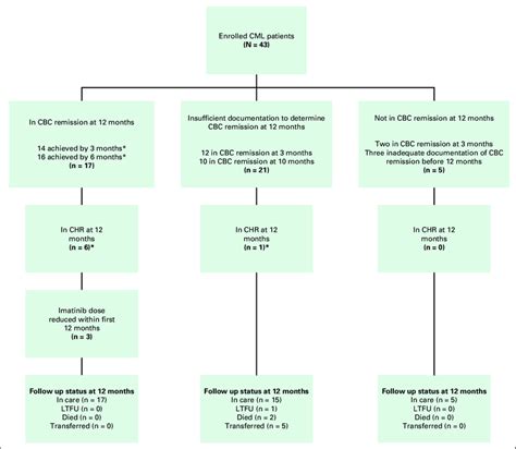 Outcomes At 12 Months Of Follow Up Chr Complete Hematologic Download Scientific Diagram