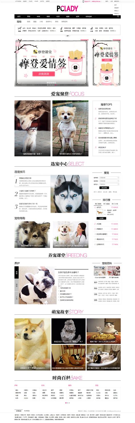 宠物网页设计 宠物店网页设计 海淘科技