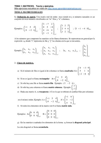 TEMA I MATRICES Y DETERMINANTES Teoria Pdf