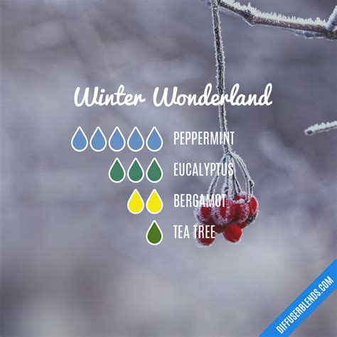 Winter Wonderland