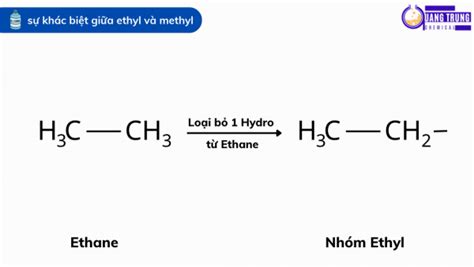 Phân Biệt Sự Khác Nhau Giữa Ethyl Vs Methyl Ví Dụ Minh Hoạ Cụ Thể